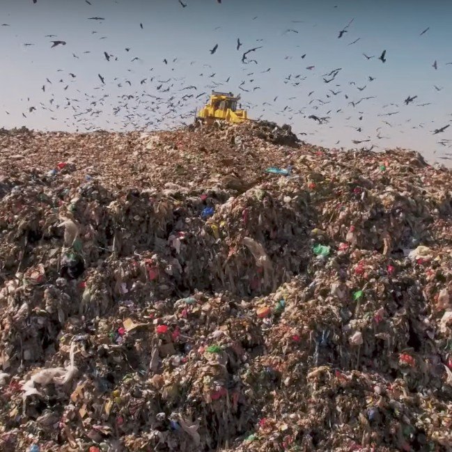 Movie Review: Bourdain, Batali and Others get after us about Wasting ...