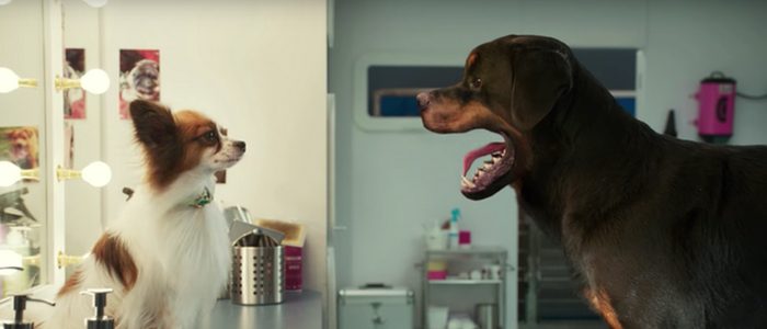 Movie Review: “Show Dogs” won’t show up on any resumes | Movie Nation