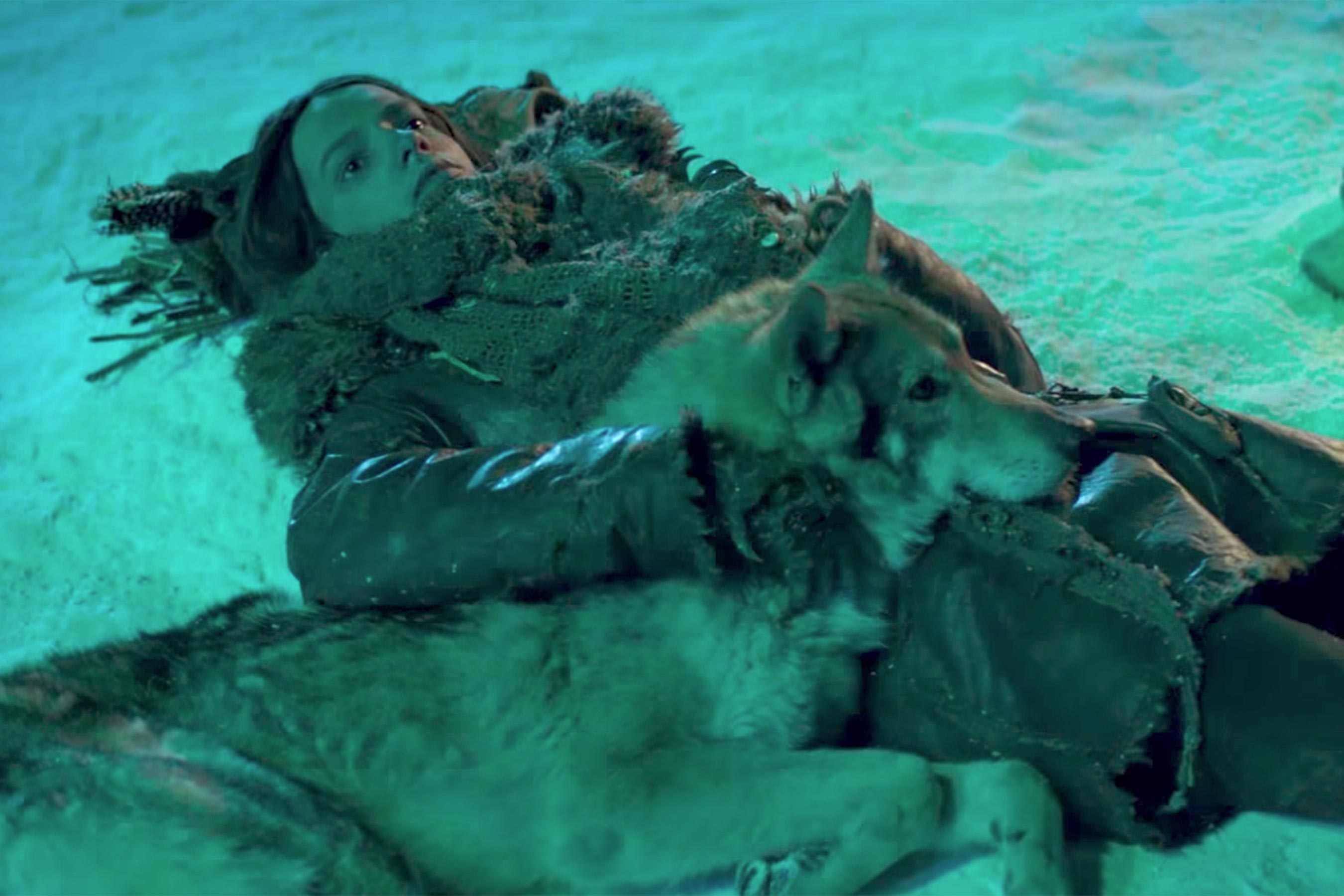 Movie Review: Boy? Meet Dog. The First Boy-Meets-Dog story, “Alpha ...