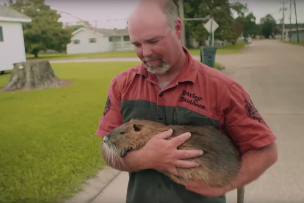 Documentary Review: “Rodents of Unusual Size” | Movie Nation