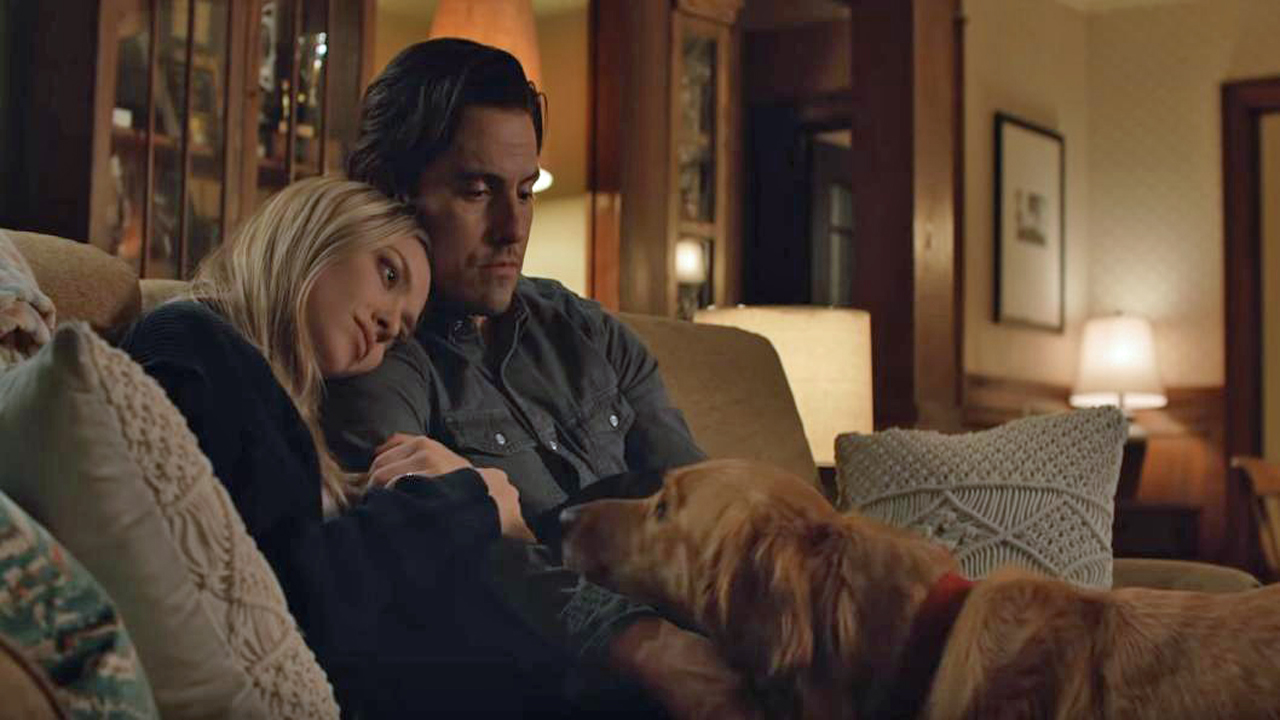 Movie Review: A dog, a racecar driver and “The Art of Racing in the ...